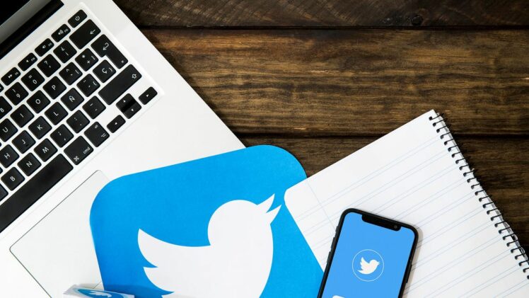 What is Twitter Poll? A Quick Guide